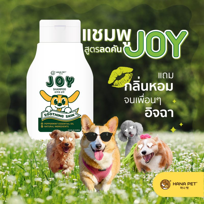 แชมพูอาบน้ำสุนัข Hana Pet JOY สูตรผิวสบาย ลดคัน/ตุ่มแดง – 300ml – ทองหล่อเพ็ทช็อป – สินค้าสำหรับ ...