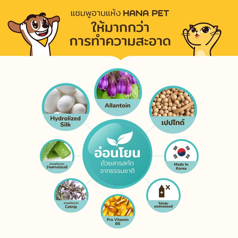 แชมพูอาบแห้ง Hana Pet ขนาดพกพา (กลิ่นแป้งเด็ก) – ทองหล่อเพ็ทช็อป – สินค้าสำหรับคนรักสัตว์เลี้ยง