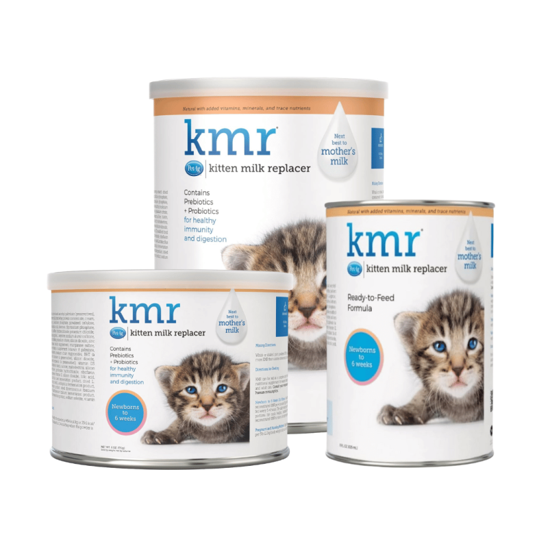 KMR Powder นมสำหรับสัตว์เลี้ยงชนิดผง สำหรับลูกแมว – ทองหล่อเพ็ทช็อป ...