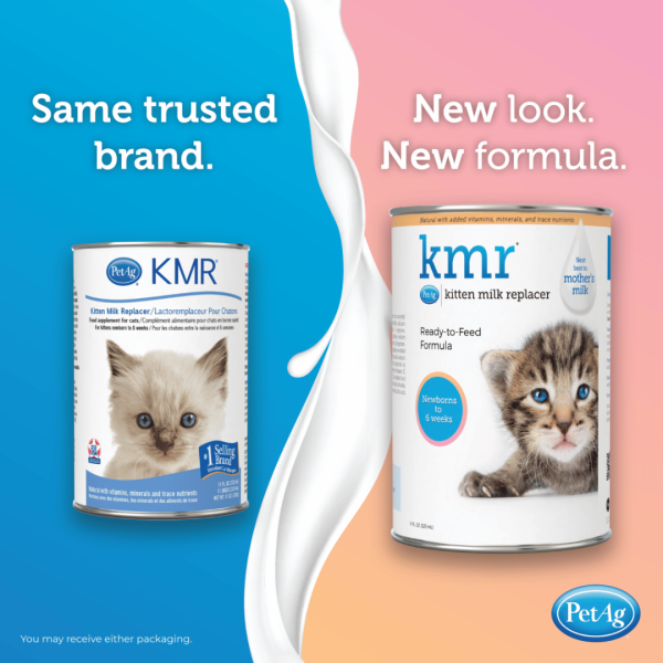KMR Powder นมสำหรับสัตว์เลี้ยงชนิดผง สำหรับลูกแมว – ทองหล่อเพ็ทช็อป ...