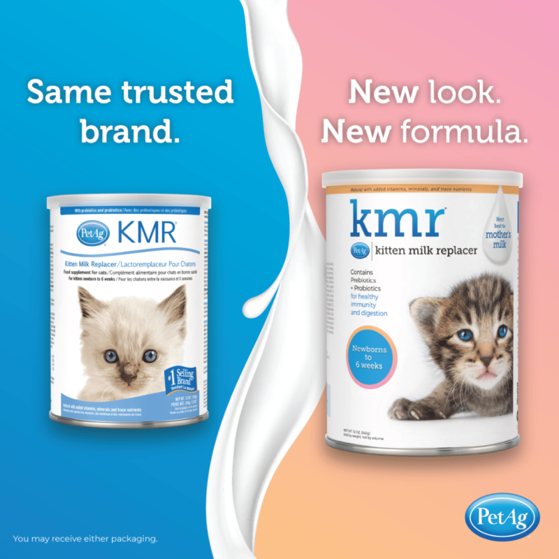 KMR Powder นมสำหรับสัตว์เลี้ยงชนิดผง สำหรับลูกแมว – ทองหล่อเพ็ทช็อป ...