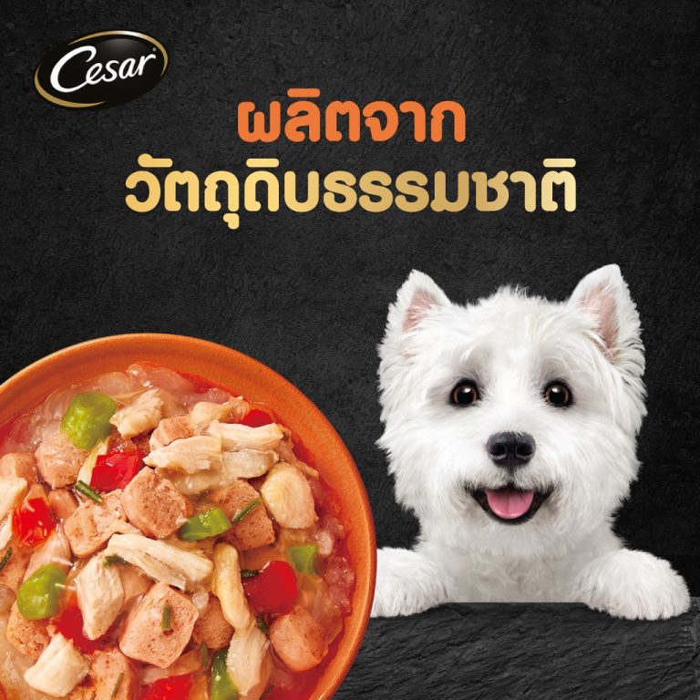 Mars Cesar Craft Pouch – ซีซาร์ คราฟต์ อาหารสุนัข พรีเมียม แบบซอง ...