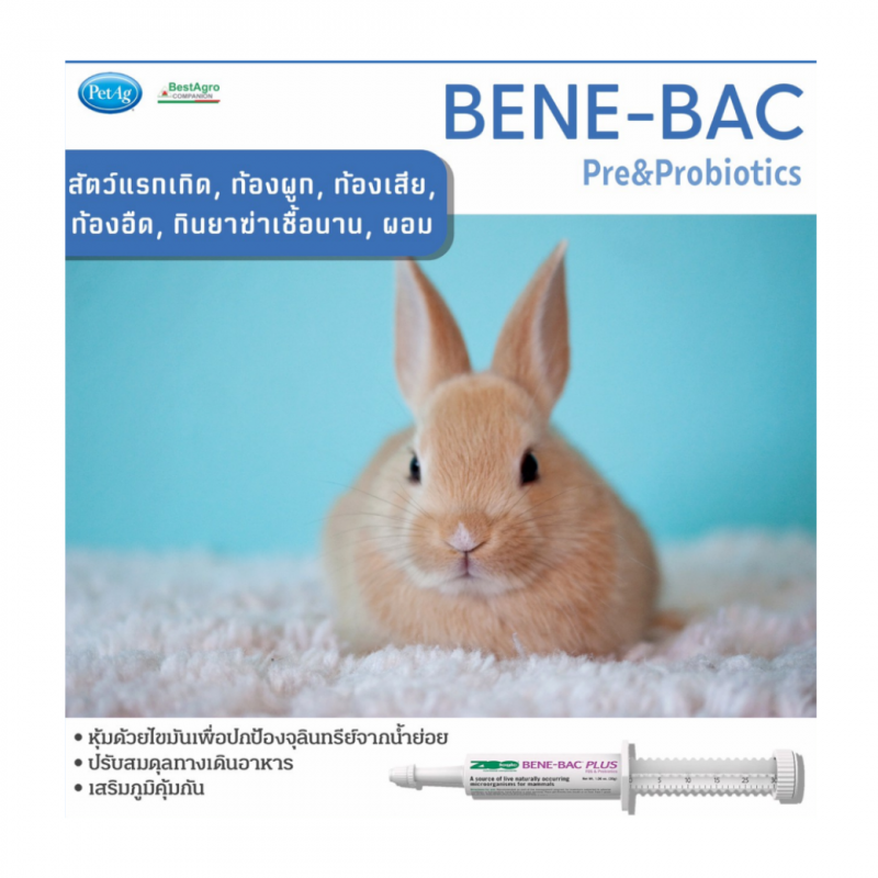 BeneBac Plus Gel อาหารเสริมสำหรับสัตว์เลี้ยง 30 กรัม 1 หลอด – ทองหล่อ ...