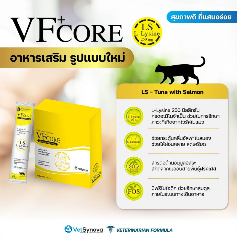 VFcore – lickable treats วีเอฟคอร์ อาหารเสริมในรูปแบบขนมเลีย (12g /1 ...