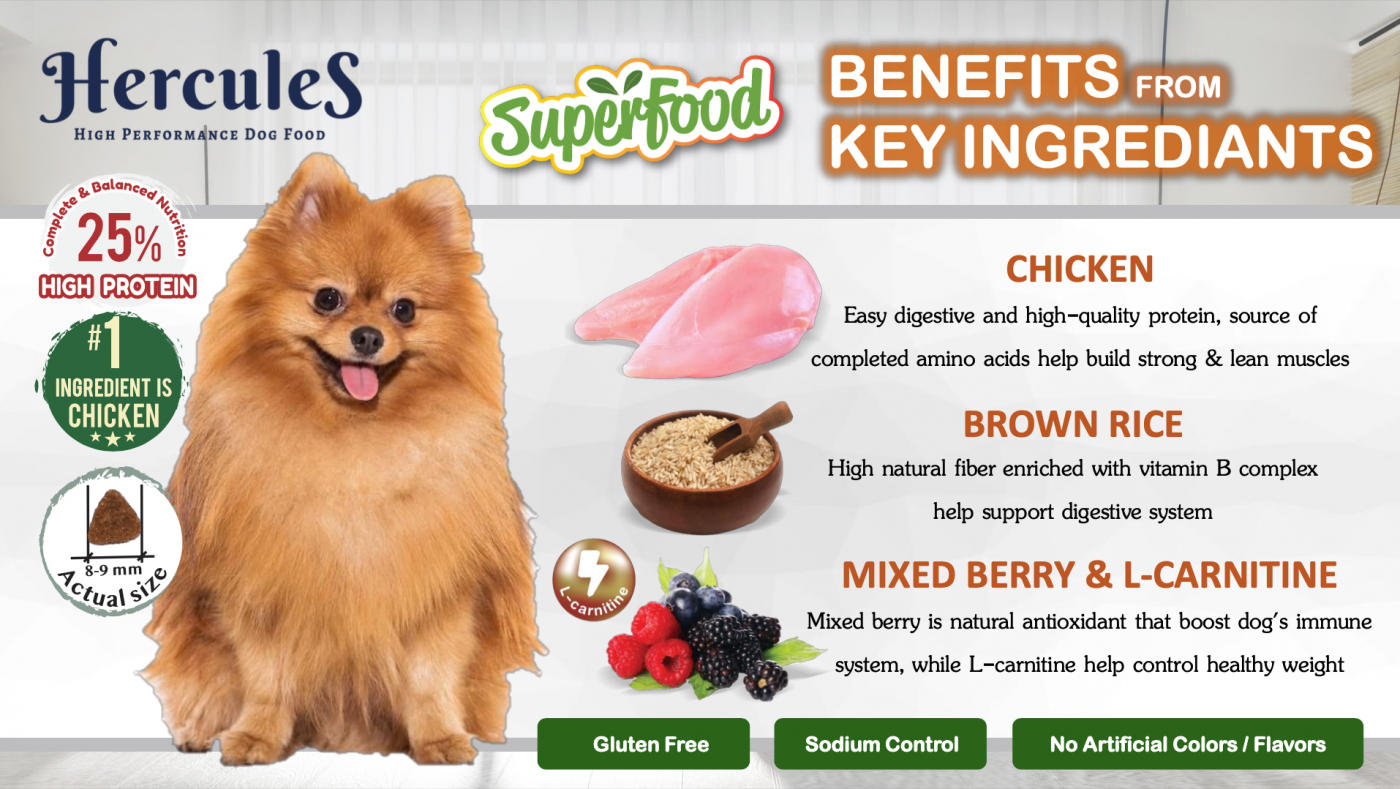 Hercules Dry Dog Food – เฮอร์คิวลิส อาหารสุนัขแบบแห้ง (500g / 1.5kg ...