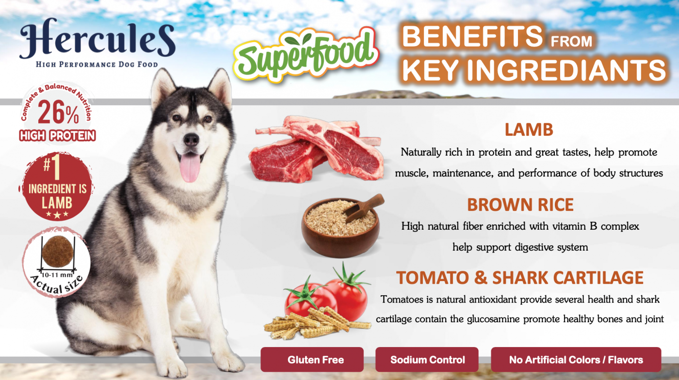 Hercules Dry Dog Food – เฮอร์คิวลิส อาหารสุนัขแบบแห้ง (500g / 1.5kg ...