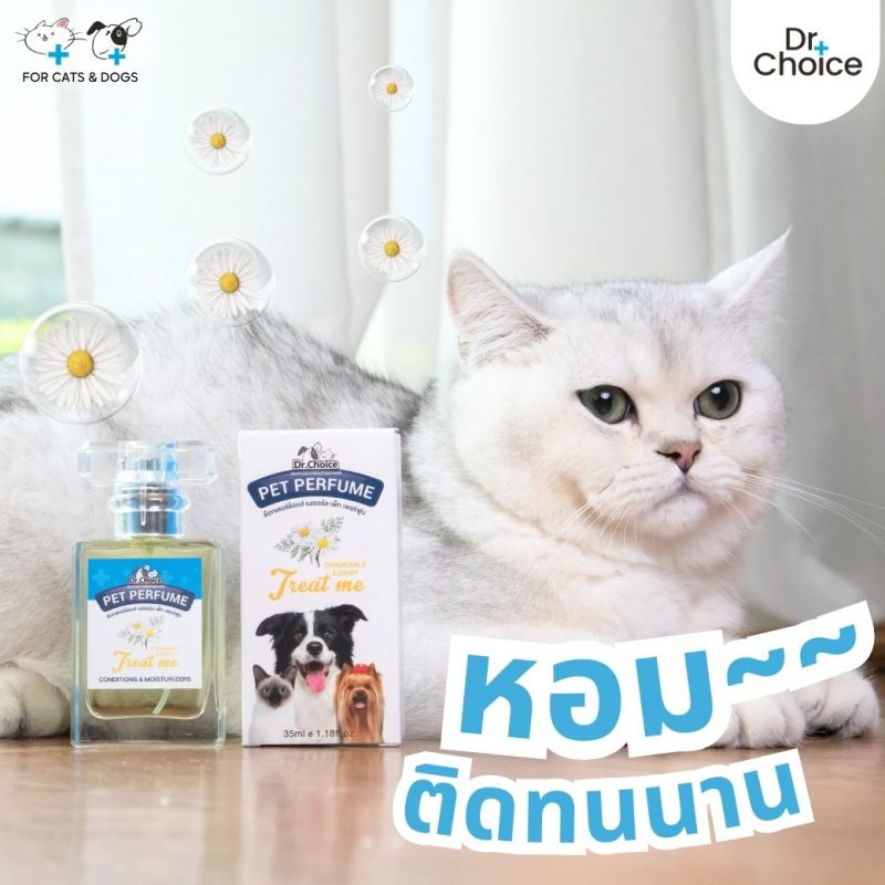 Dr.Choice Natural Pet Perfume – ด๊อกเตอร์ ช๊อยส์ น้ำหอมสัตว์เลี้ยง สกัด ...